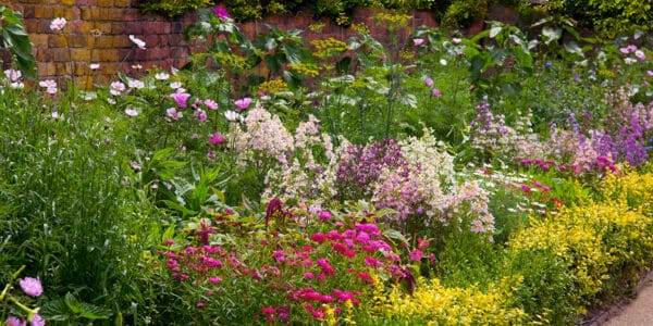 How to Build a Permaculture Swale - Permaculture Plants